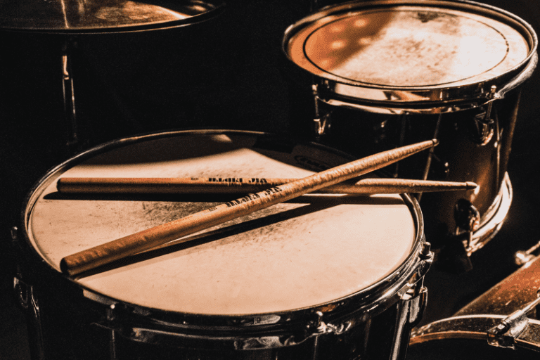 Types Of Drums And Percussions (An Overview) | INS.