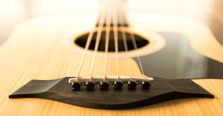 How High Should Taylor Acoustic Guitar Action Be? | INS.
