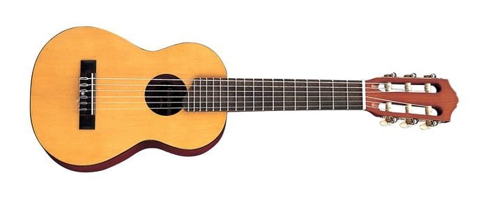 What Are Small Acoustic Guitars Called | INS.