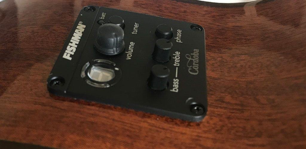 Why Do Acoustic Guitars Need Batteries | Insights Of Musical Instruments