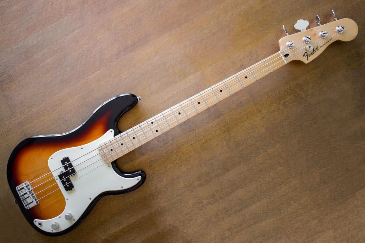 Can Electric Guitar Bass Ins