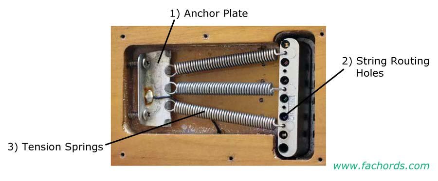 What Are The Springs In The Back Of An Electric Guitar | INS.