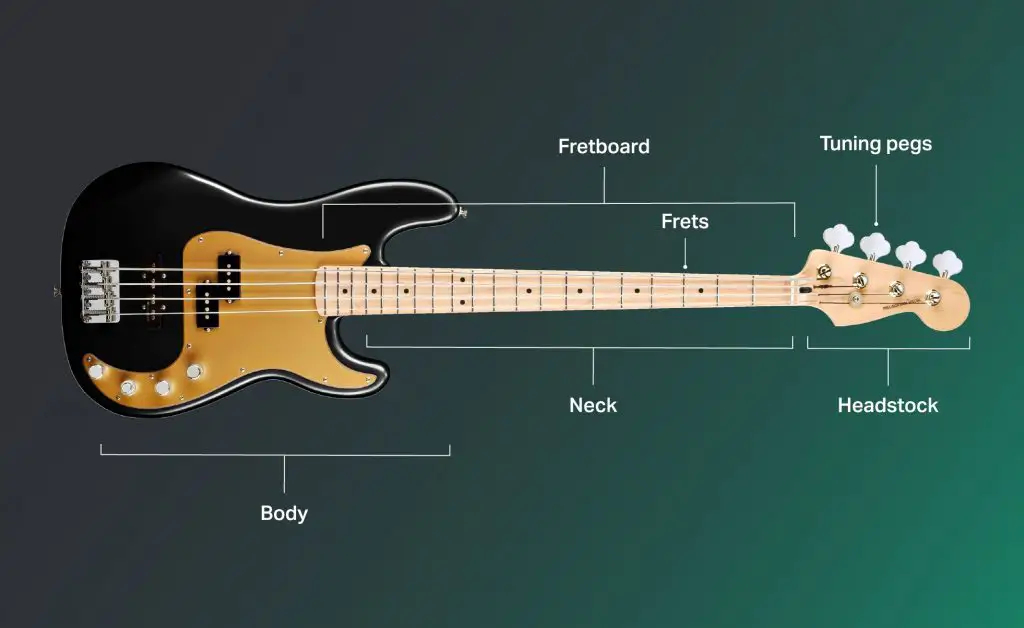 Where Can I Learn The Bass Guitar | Insights Of Musical Instruments
