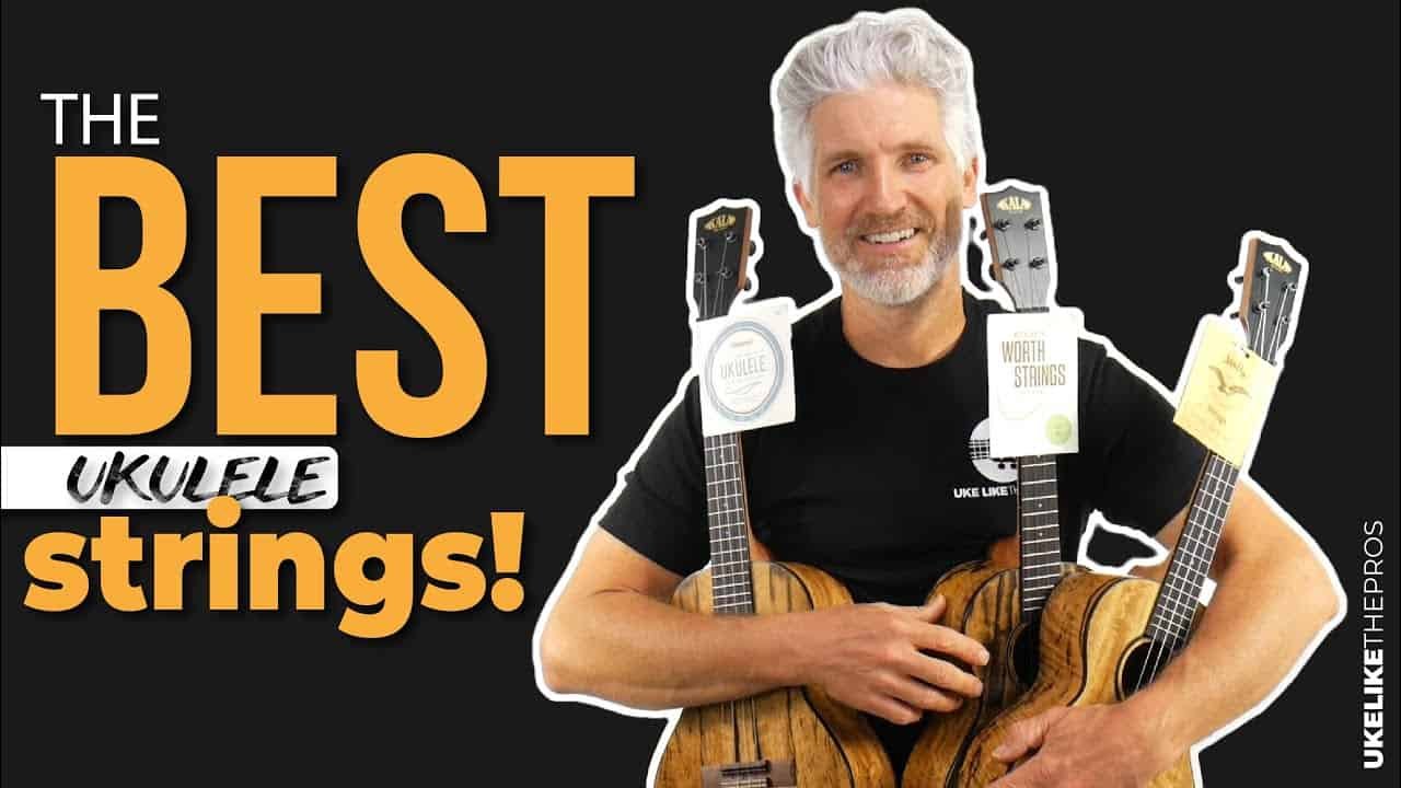 What Are The Best Ukulele Strings | Insights Of Musical Instruments