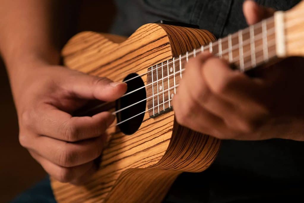 What Are Ukulele Player Called | Insights Of Musical Instruments