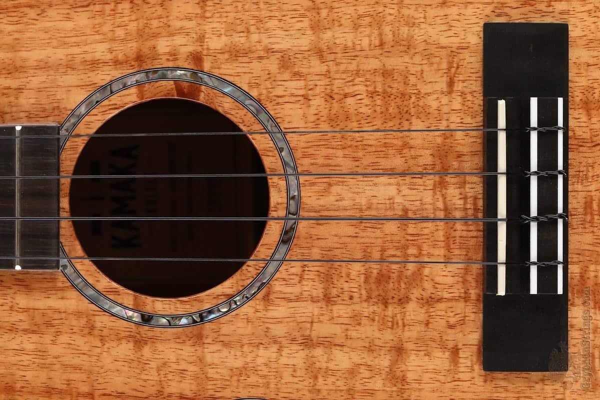 What Are Ukulele Strings Made Of | INS.