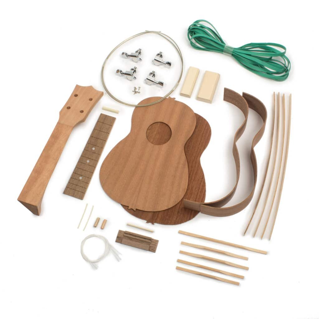 What Is A Ukulele Kit | INS.
