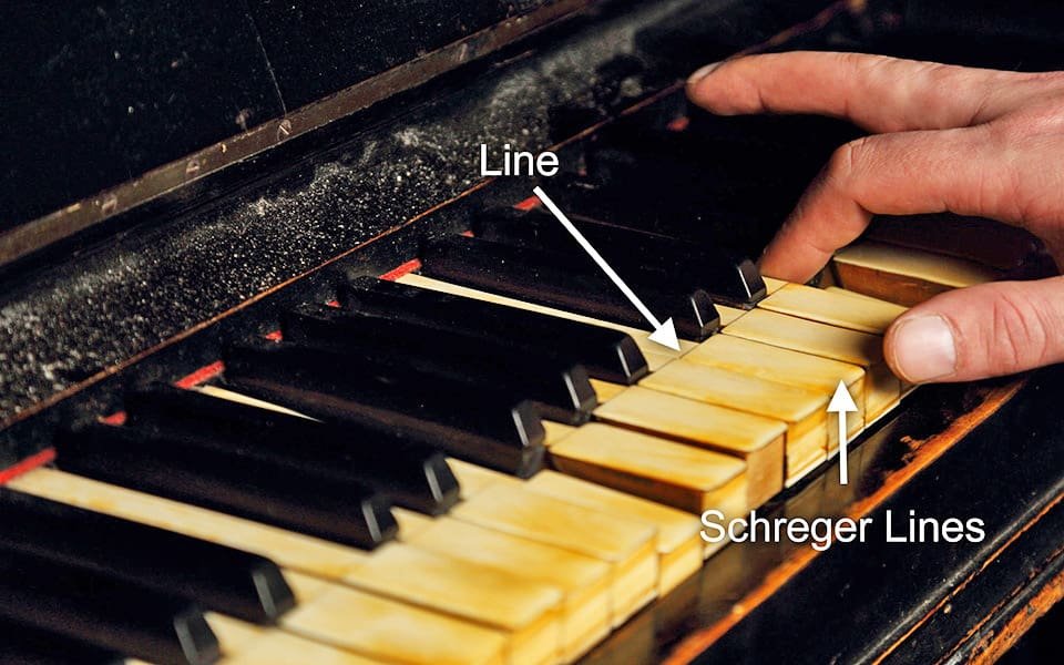 What To Do With Ivory Piano Keys | INS.