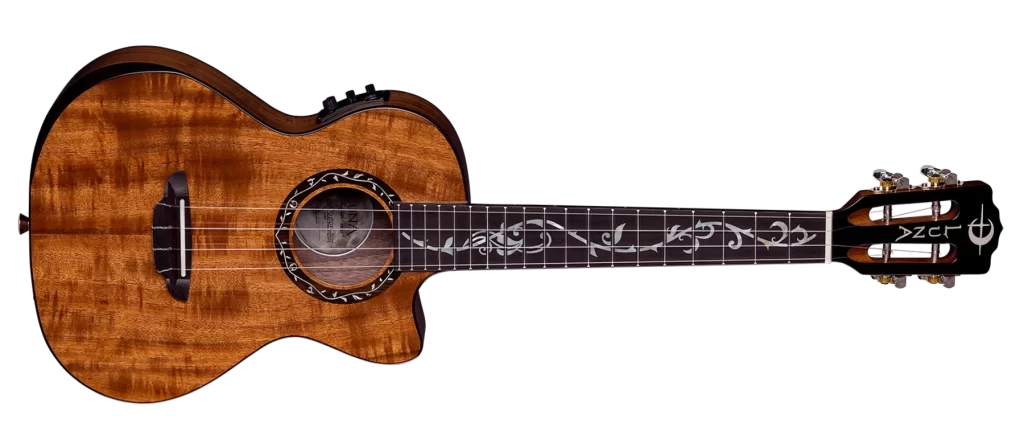 What Ukulele Does Boywithuke Use | INS. What Ukulele Does Boywithuke Use | INS.