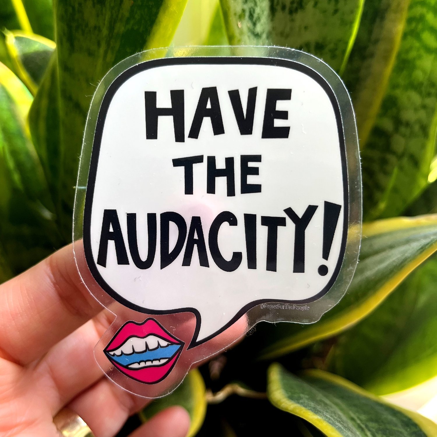 Have The Audacity | Insights Of Musical Instruments