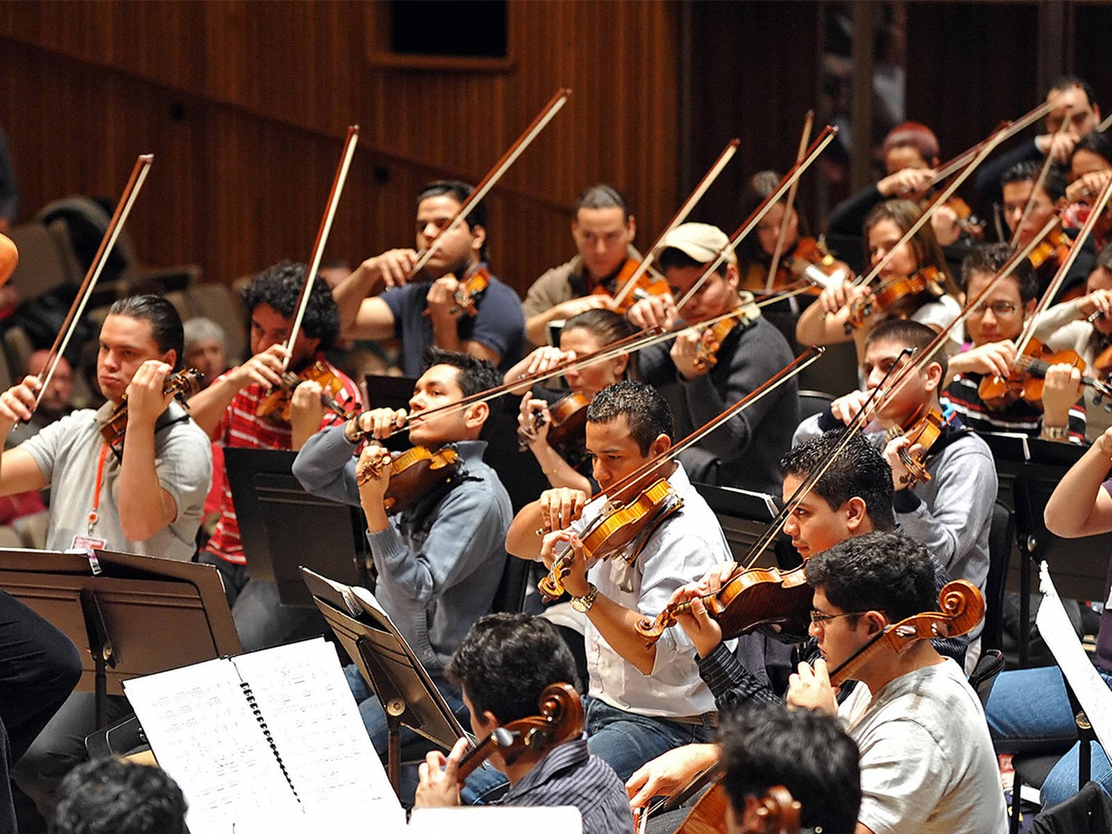 How Many Violins Are In An Orchestra | INS.