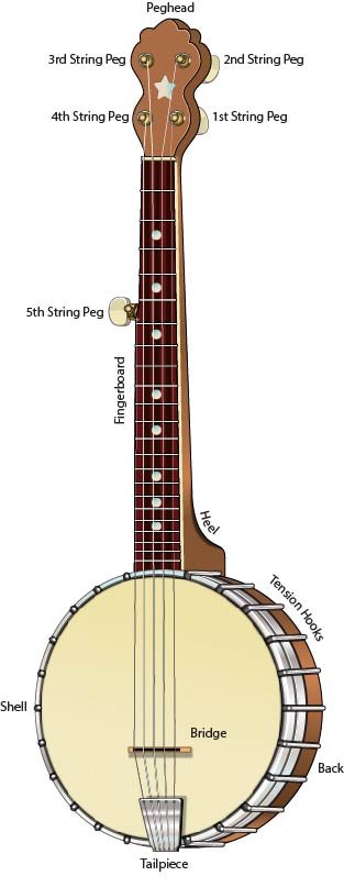 How Much Are Banjos | INS.