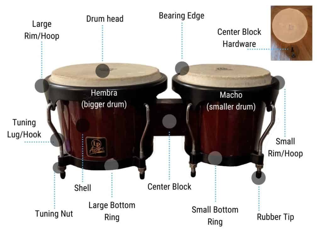 How To Tune A Bongo Drum | Insights Of Musical Instruments