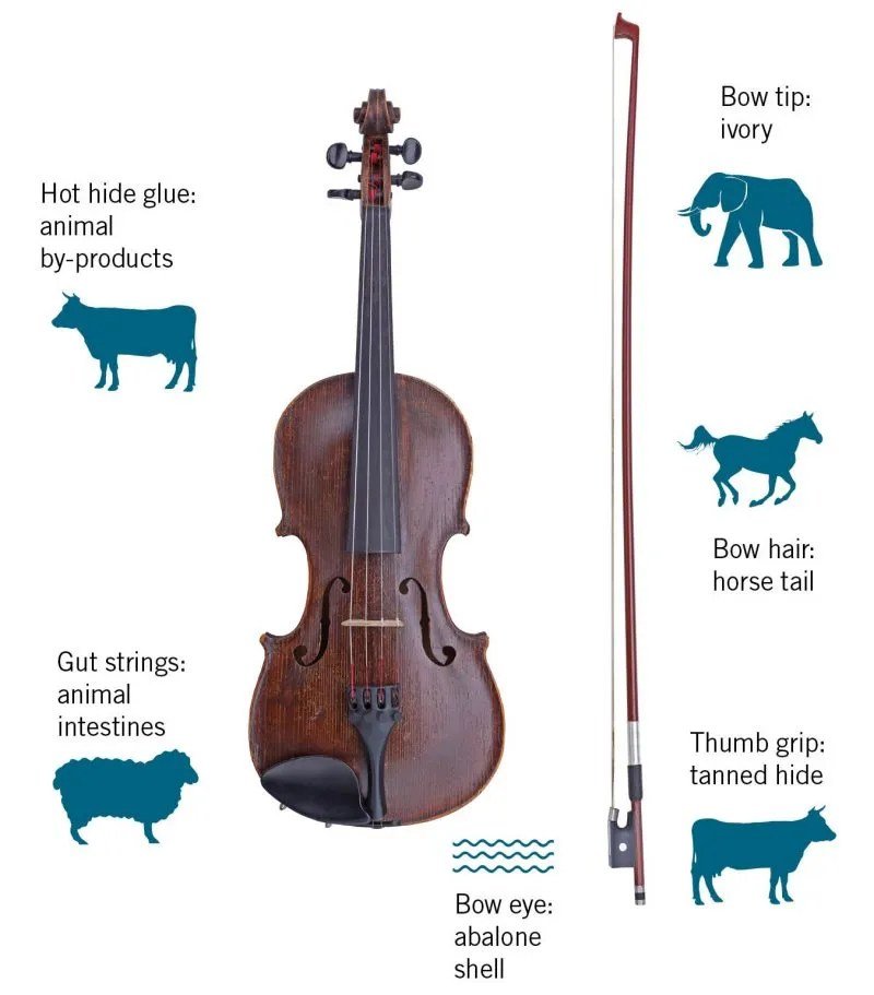 What Are The Strings Of A Violin Made Of | Insights Of Musical Instruments