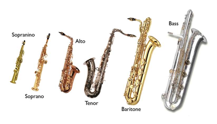 What Instrument Is Similar To The Saxophone | Insights Of Musical ...