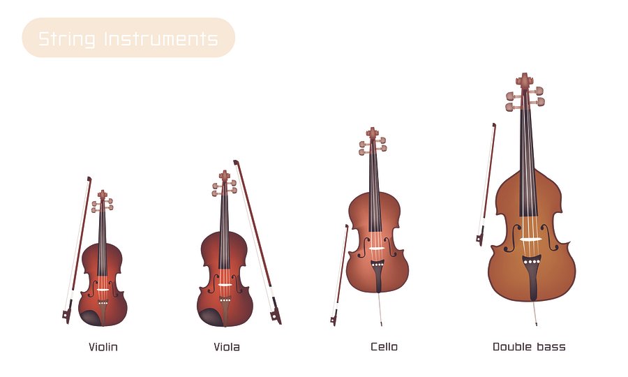 What Is A Big Violin Called | INS.