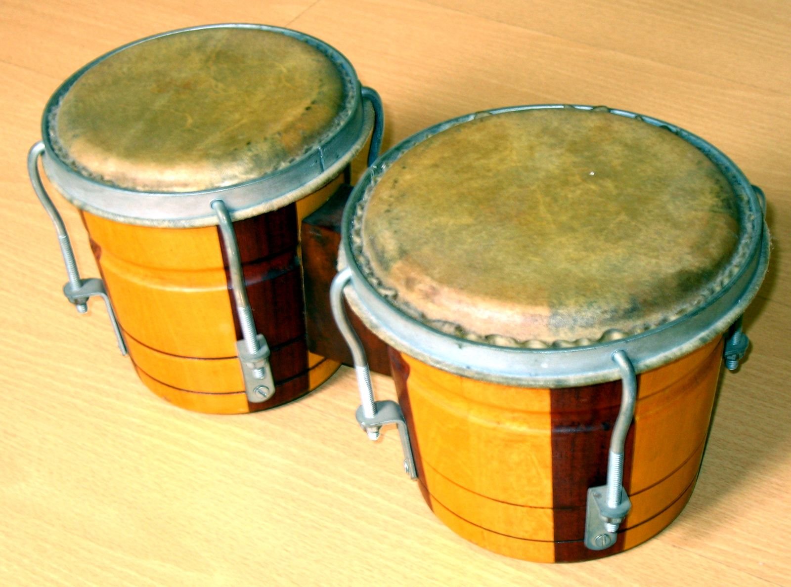 What Is A Bongo Drum | INS.