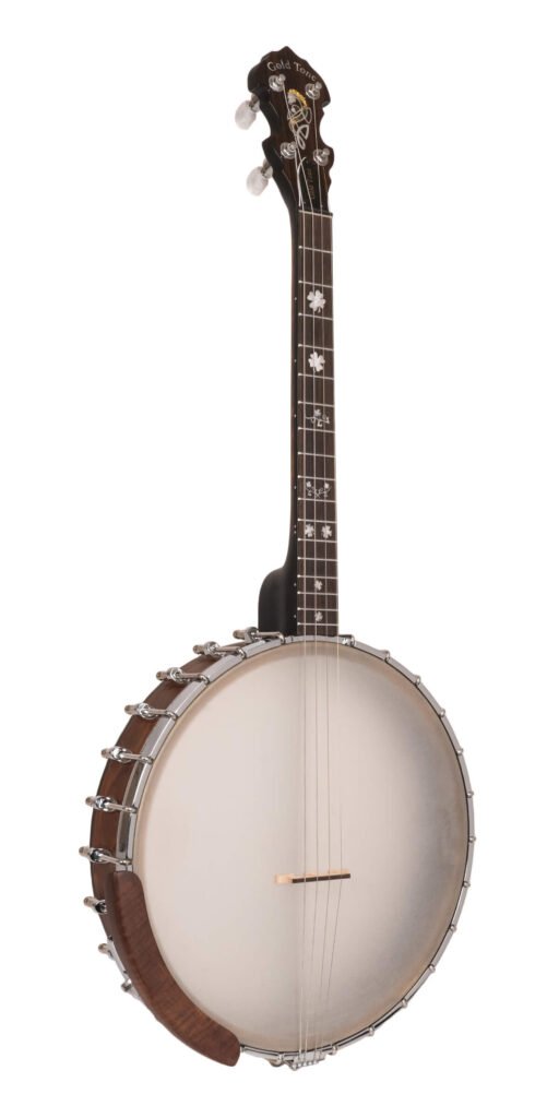 What Is A Tenor Banjo | Insights Of Musical Instruments