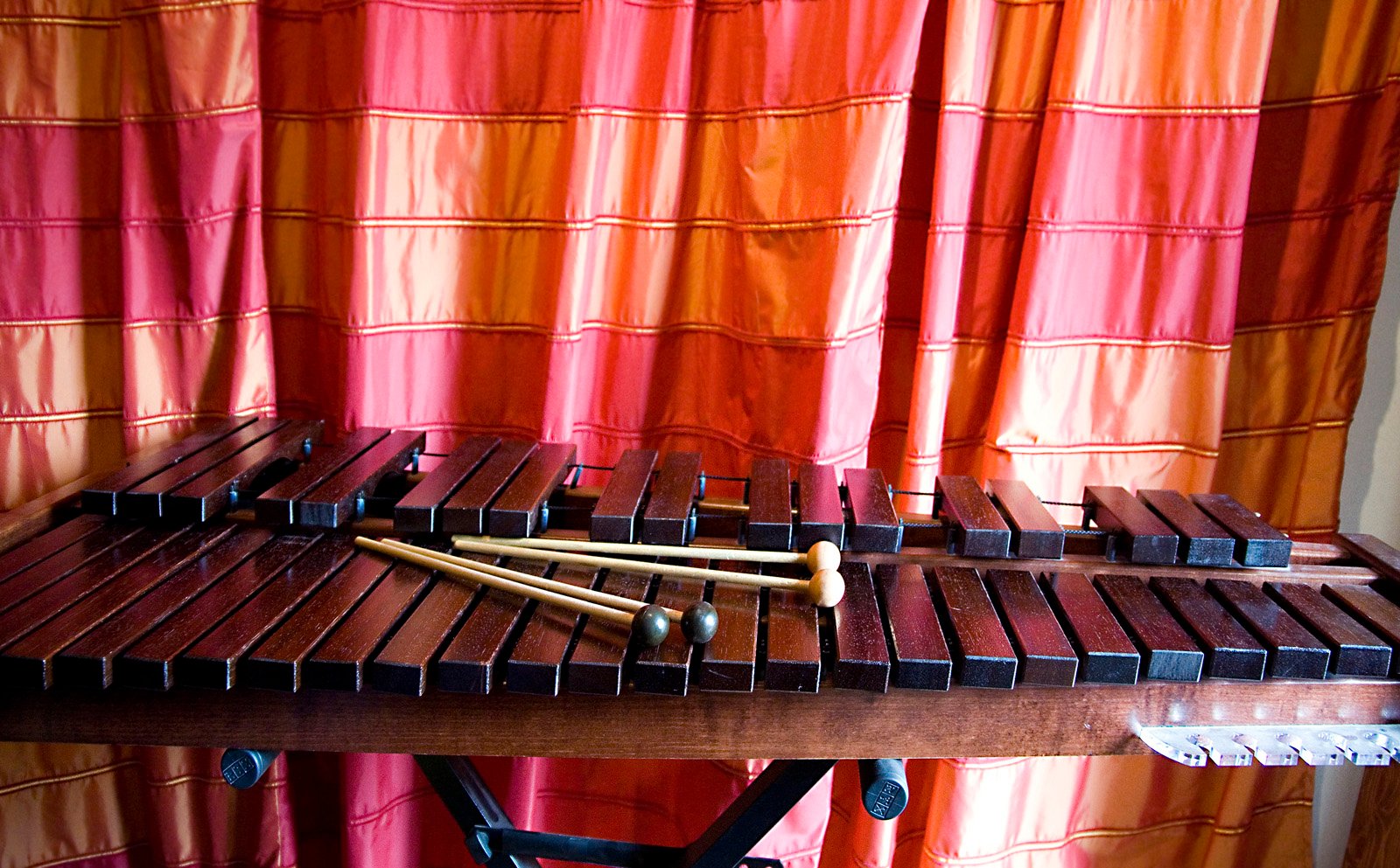 What'S A Xylophone | Insights Of Musical Instruments
