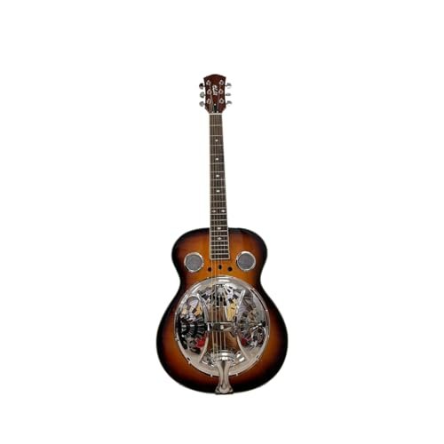 5 Best Resonator Guitar: Unleash Your Inner Musician With Top Picks | INS.